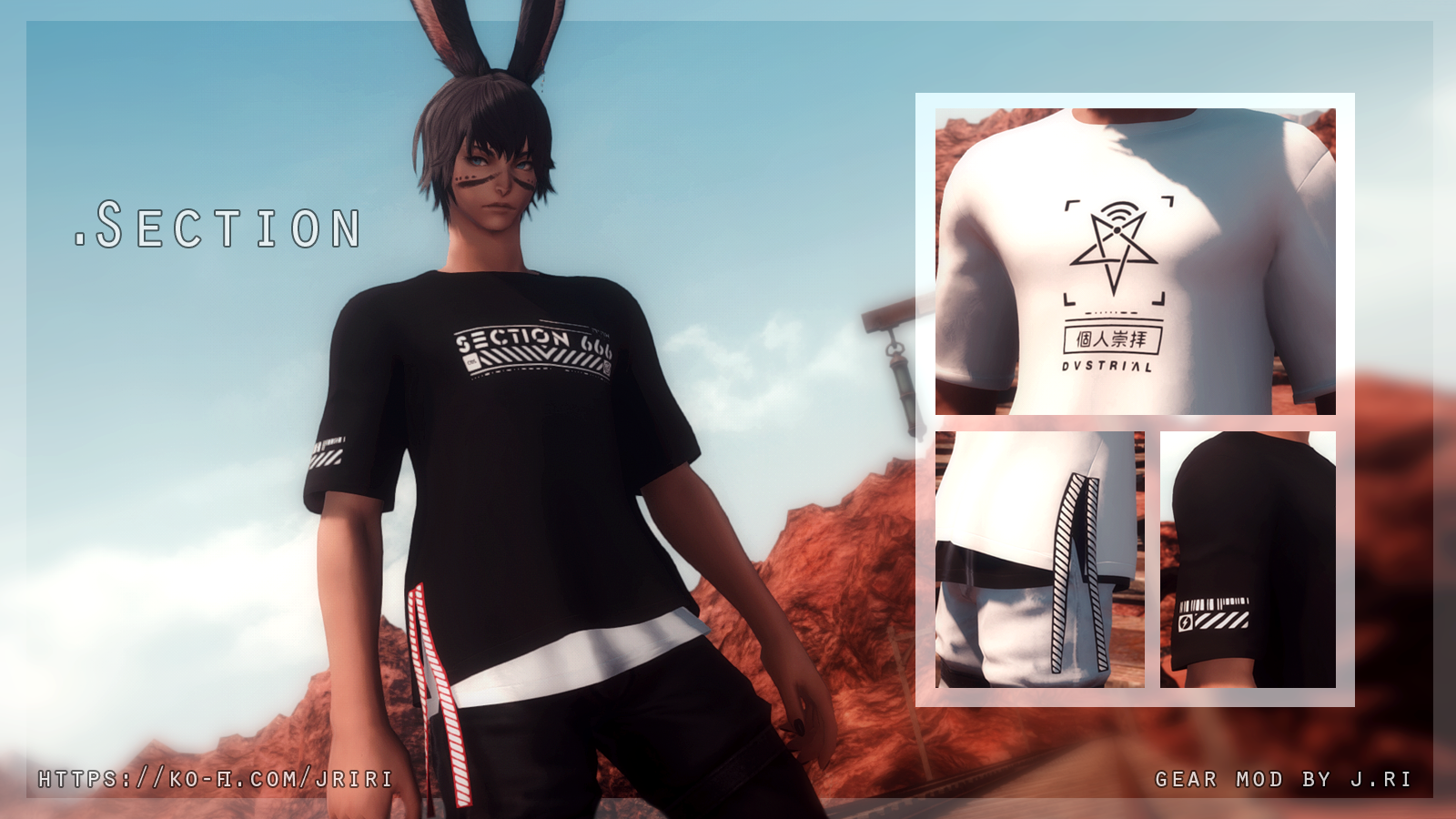 .Section - The Glamour Dresser