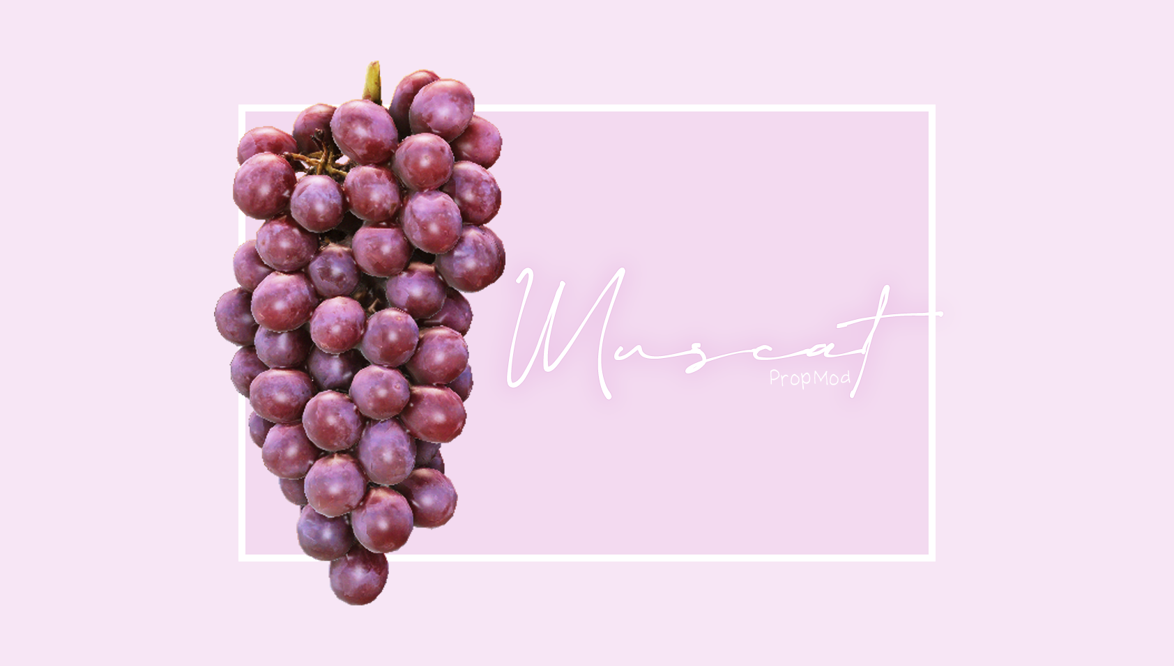 muscat『 Individual Prop 』 - The Glamour Dresser : Final Fantasy XIV ...