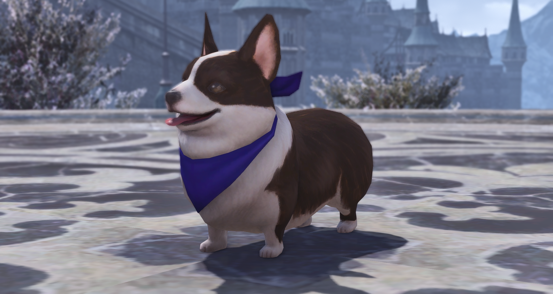 Black and White Corgi - The Glamour Dresser : Final Fantasy XIV Mods ...