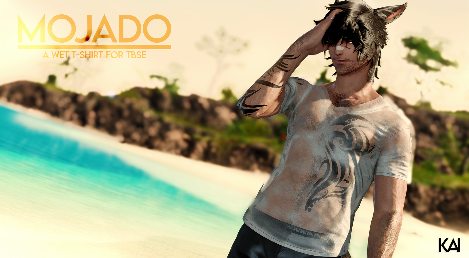 Emilio - The Glamour Dresser : Final Fantasy XIV Mods and More