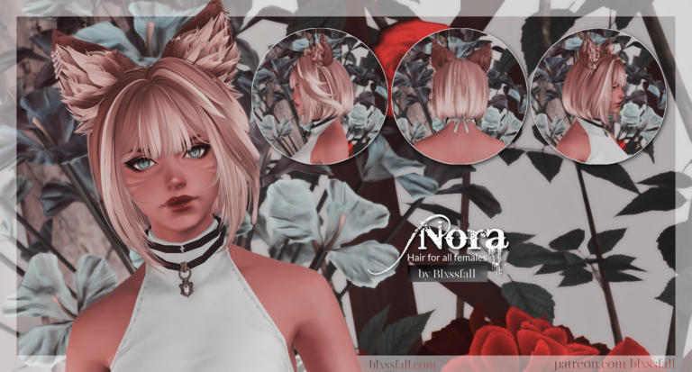 Nora - The Glamour Dresser : Final Fantasy XIV Mods and More