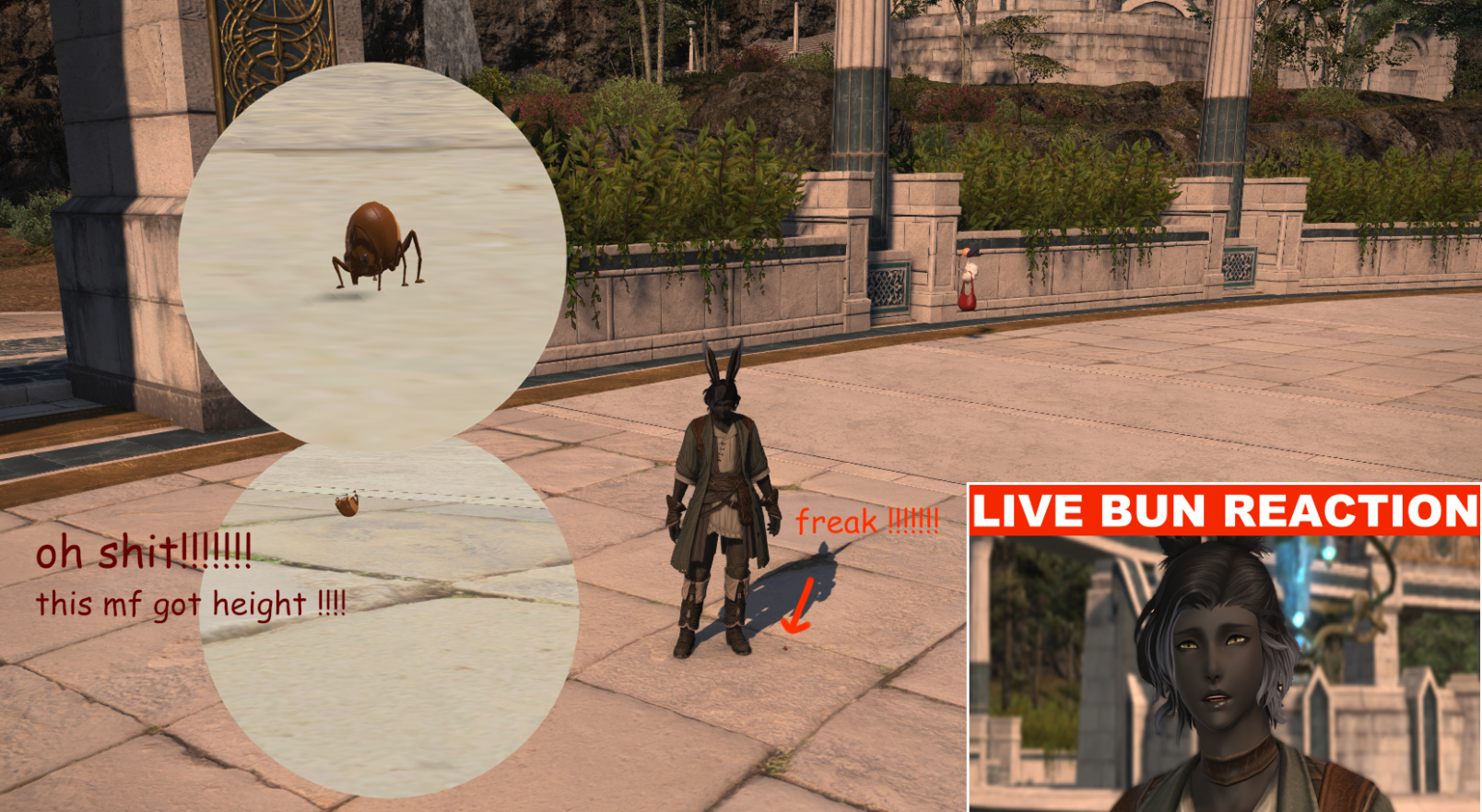 Wind-up Feo Ul - The Glamour Dresser : Final Fantasy XIV Mods and More