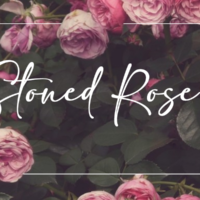 Neon Koi - The Glamour Dresser : Final Fantasy XIV Mods and More