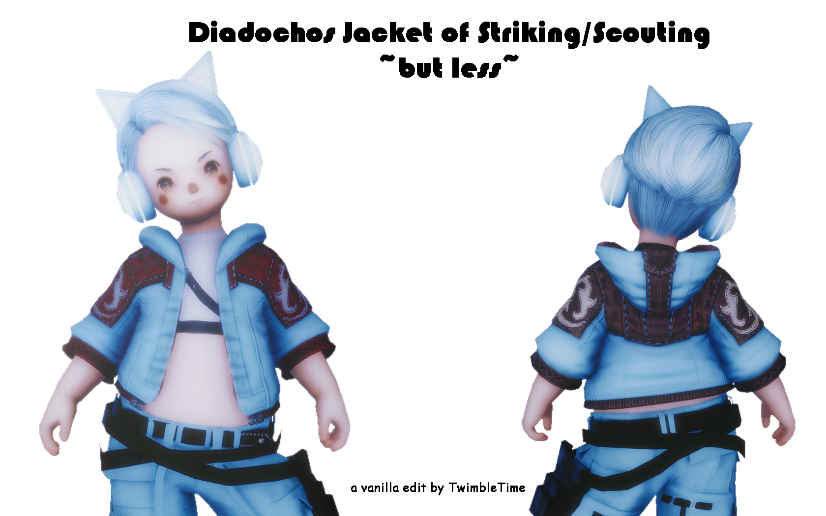 Stripped down Diadochos Jacket of Striking/Scouting - The Glamour ...