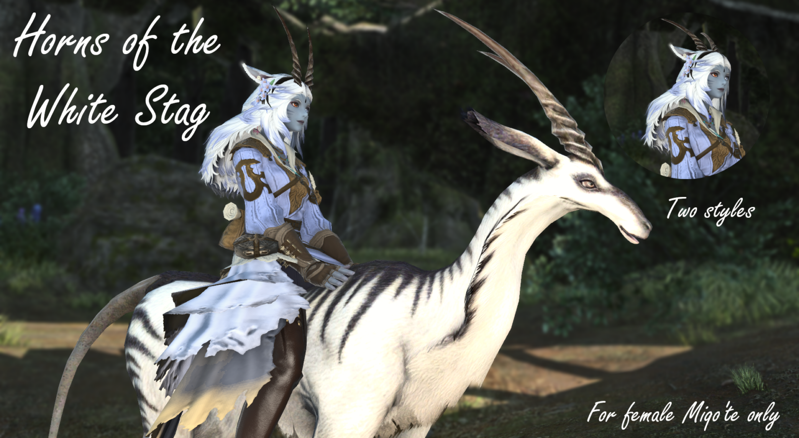 Mithra-Inspired Starting Gear - The Glamour Dresser : Final Fantasy XIV ...