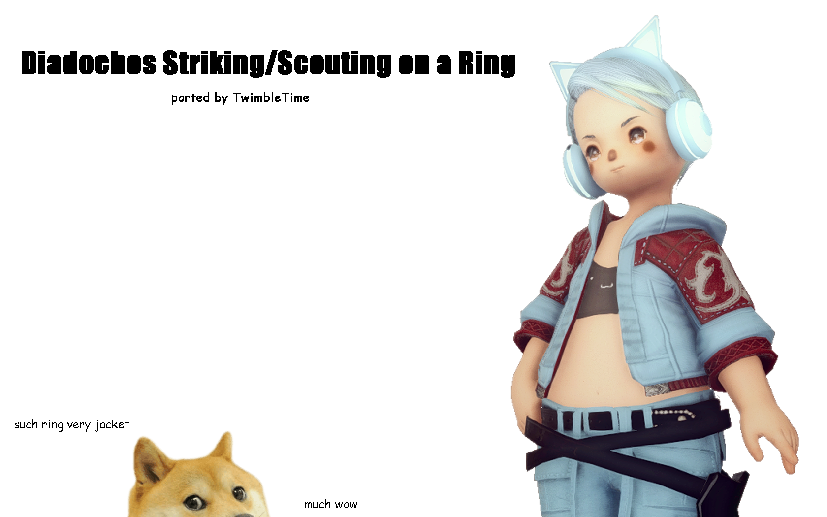 Diadochos Jacket of Striking & Scouting on a Ring - The Glamour Dresser ...