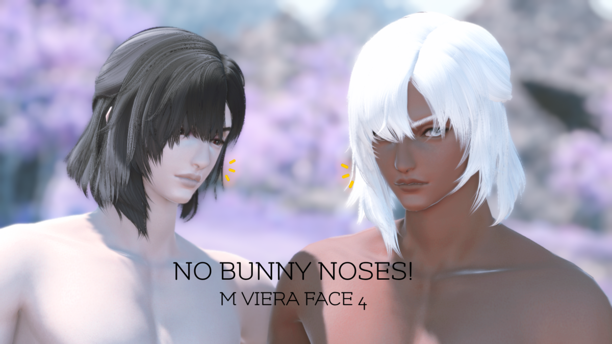 No Bunny Nose - Male Viera Face 4 - The Glamour Dresser : Final Fantasy ...