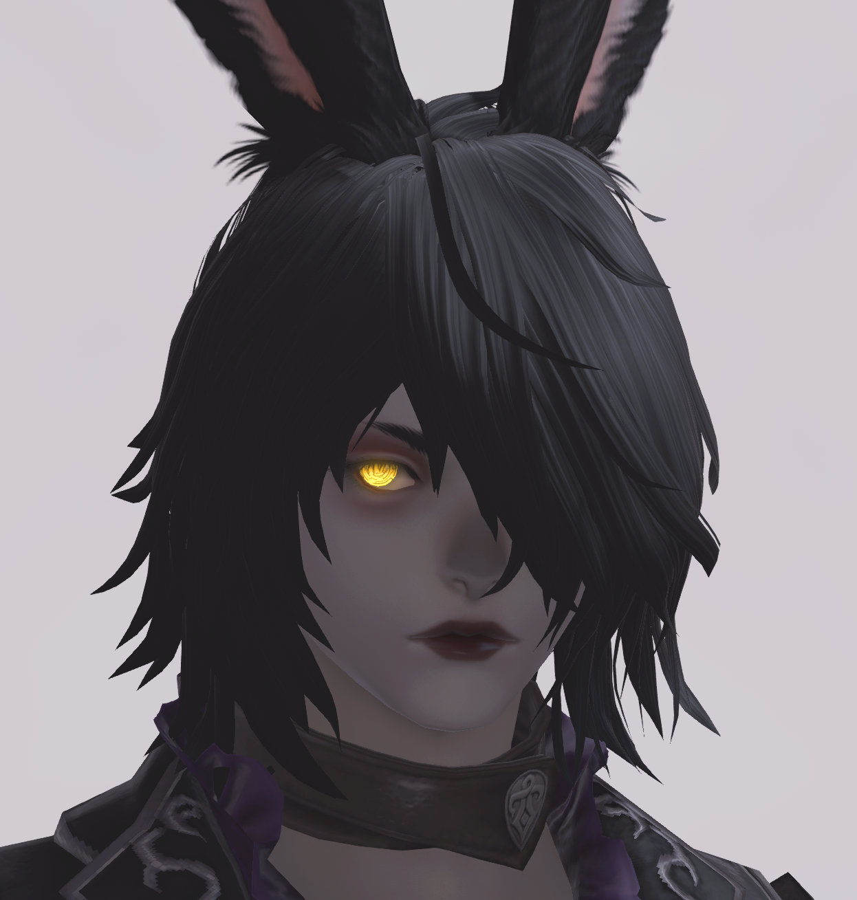 Shadowlord Hair and Eyes - The Glamour Dresser : Final Fantasy XIV Mods ...