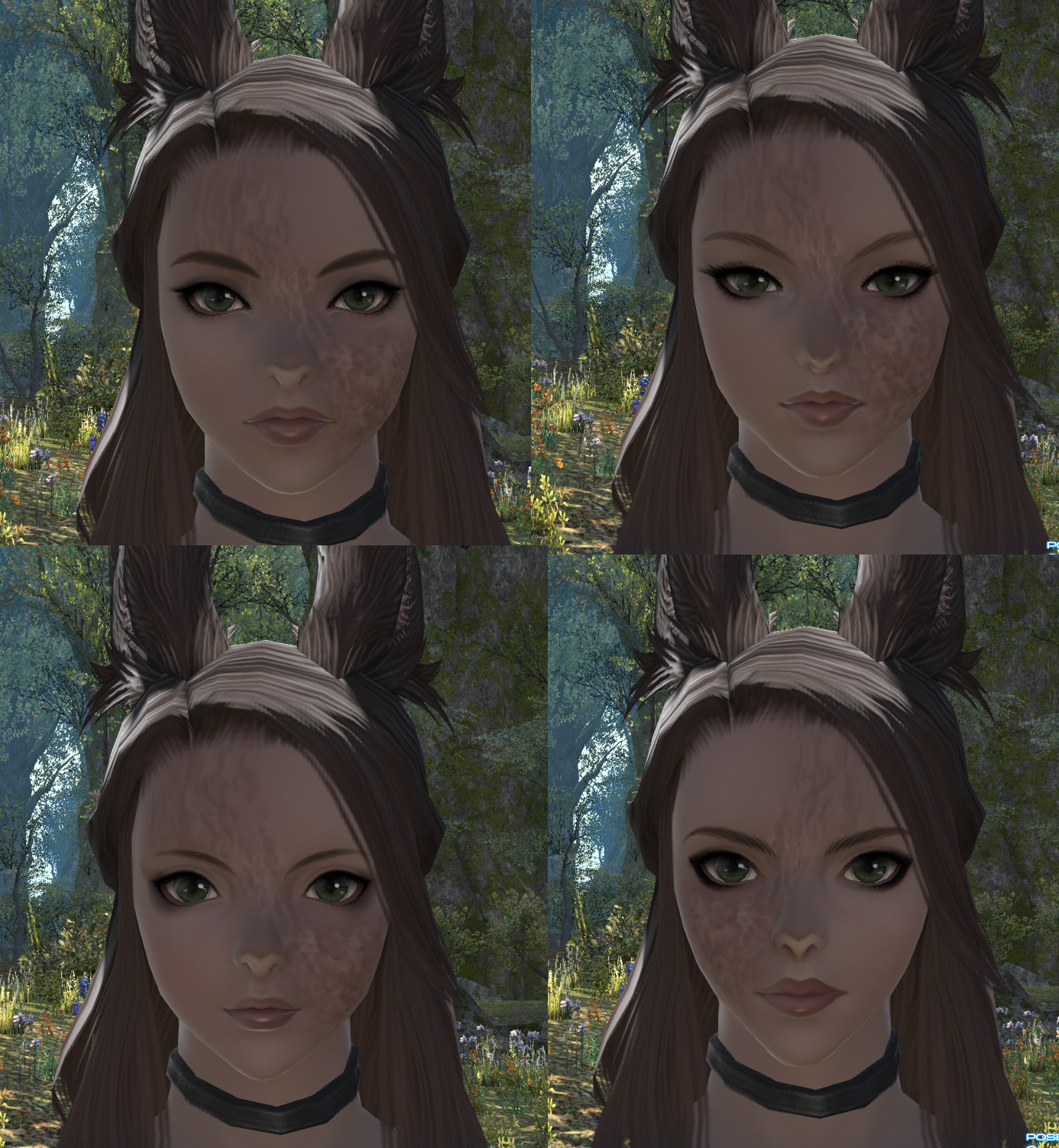 (DT Updated)Male Viera Burn Scars - The Glamour Dresser : Final Fantasy ...