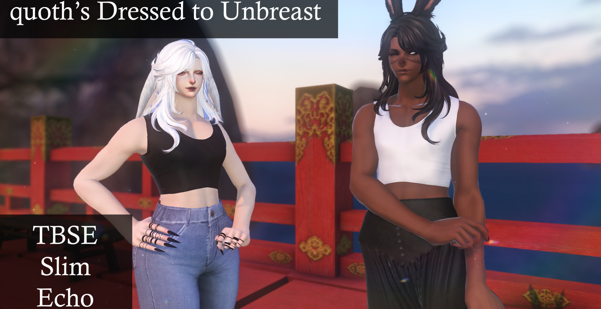 quoth's Dressed to Unbreast for TBSE/Slim/Echo - DT - The Glamour Dresser : Final Fantasy XIV ...
