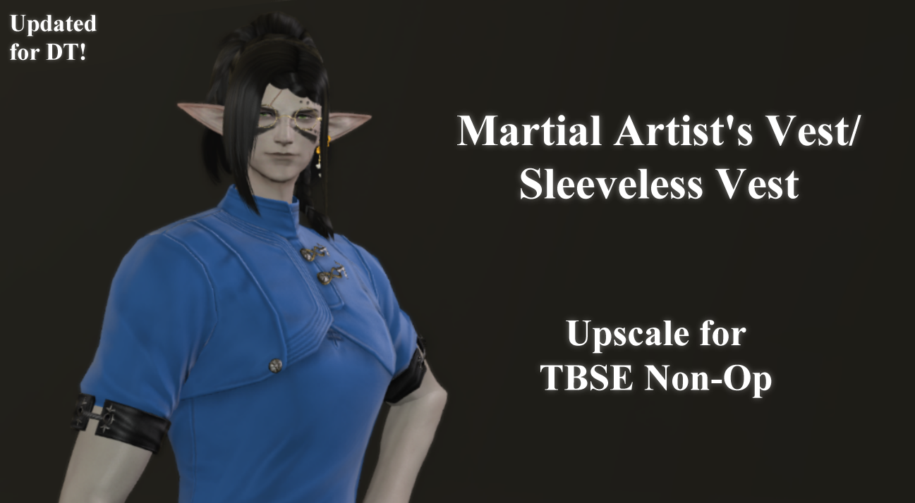 Martial Artist's Vest / Sleeveless Vest for TBSE Non-op - The Glamour ...