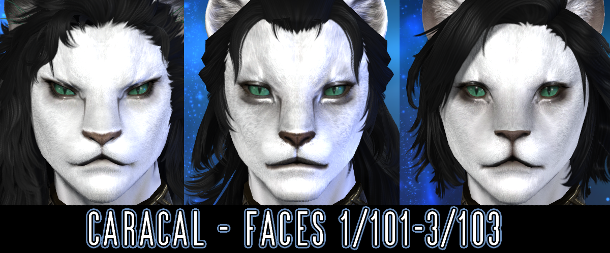 [GREM] Caracal, A makeup for Face 1/101-3/103 F Hrothgar - The Glamour ...