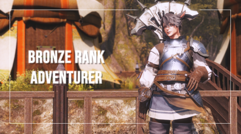 Bronze Rank Adventurer - The Glamour Dresser